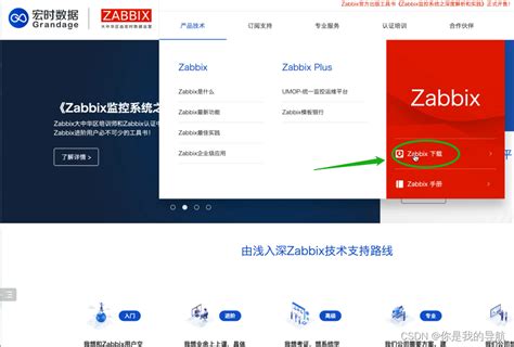 安装zabbix csdn博客