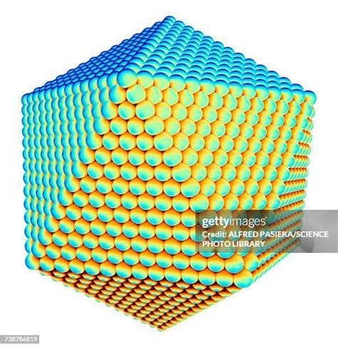 single cell protein photos and premium high res pictures getty images