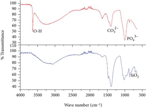 ftir spectra of a nhap and b msn nhap download scientific diagram