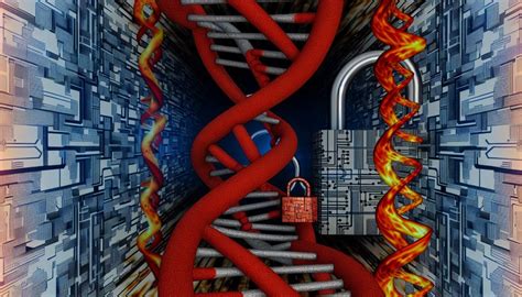 Three Top Tips Applying Evolutionary Computation Techniques Algorithm Examples