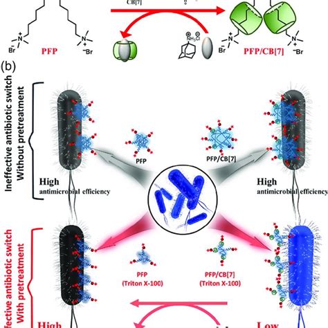 A Illustration Of Conjugated Microporous Polymer Nanoparticles Route Download Scientific