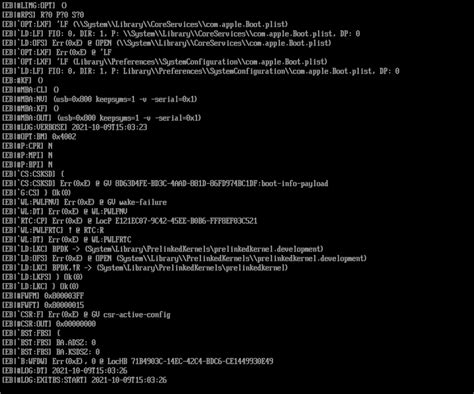 Catalina Fails To Boot For Some Reason But Doesn T Say Why Issue Myspaghetti Macos