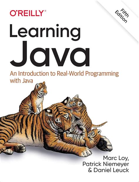 Learning Java An Introduction To Real World Programming With Java Loy