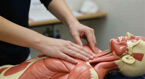 Massage Therapy Programs In California The Ultimate Guide For 2025