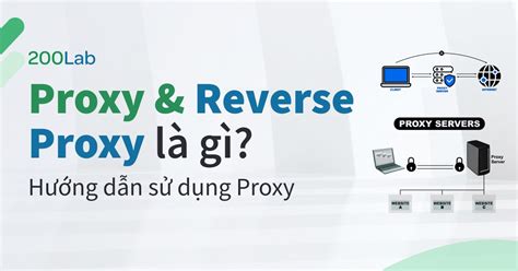Proxy Và Reverse Proxy Là Gì Hướng Dẫn Sử Dụng Proxy 200lab Blog