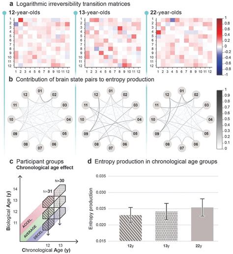 Chronological Age‐related Entropy Production A Logarithmic Download Scientific Diagram