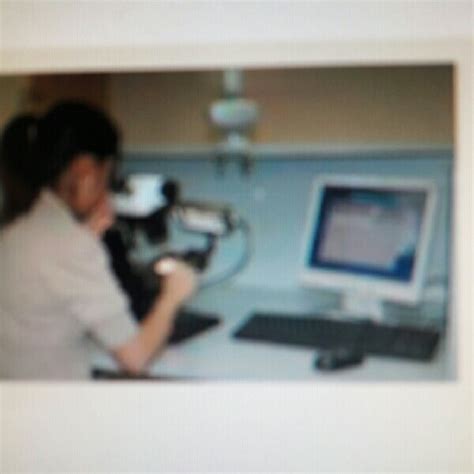 Diamond Assorting Polishing Services In Kolkata Id 14454729748