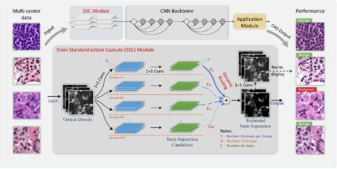 Stain Standardization Capsule For Application Driven Histopathological