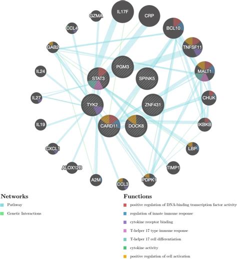 Networks And Functional Pathways Of Key Genes Involved In Hies The