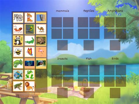 Animals Classification Group Sort