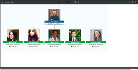 Consumer Handbook Of Odoo Worker Organizational Chart T3llam