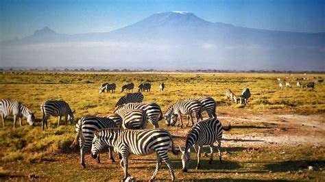 Amboseli National Park