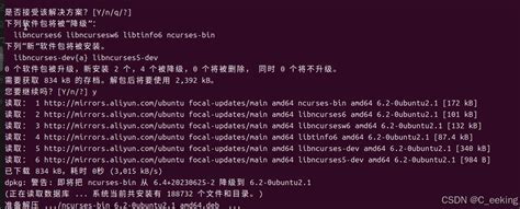 Ubuntu2310下处理libncurses5 Dev包的安装问题 Csdn博客