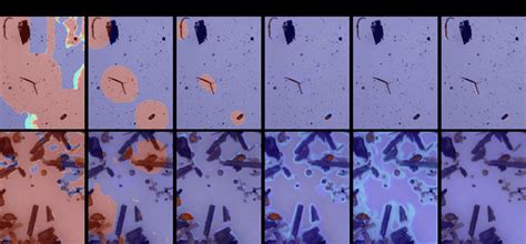 Activation Map Trained With Different Pooling Methods The Global Max Download Scientific