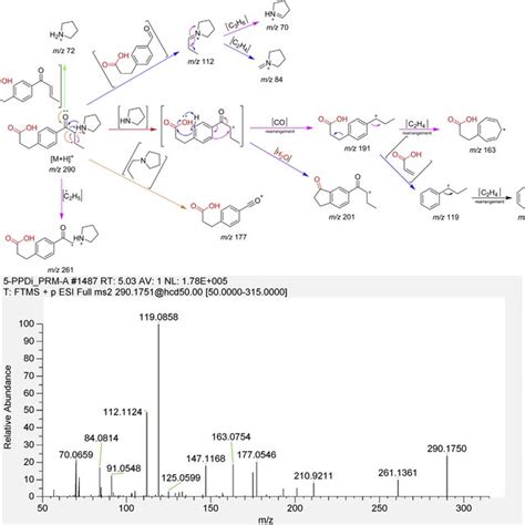 Mass Spectrometric Behaviour Of M8 A Proposed Fragmentation Pathway Download Scientific