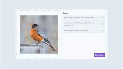 ml5 image classifier