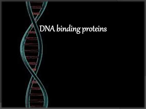 Dna Binding Proteins Pptx