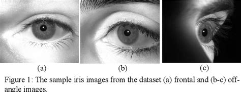 Figure From Blink Detection For Off Angle Iris Recognition Using Deep Learning Semantic Scholar