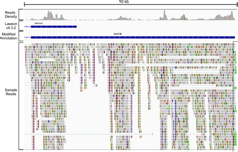 Figures And Data In Single Cell Rnaseq Analysis Of Spinal Locomotor Circuitry In Larval