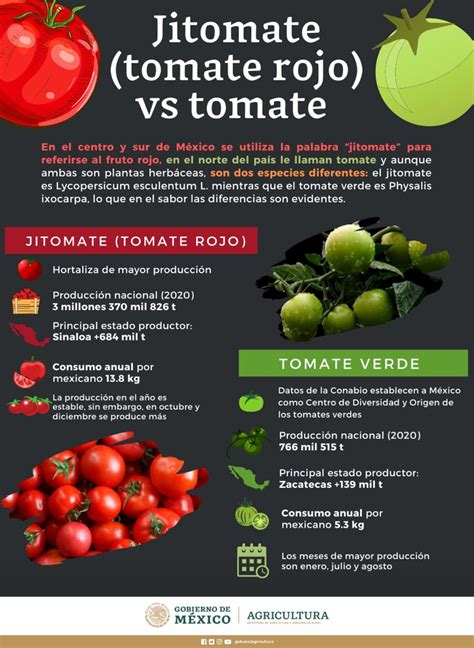 Tomate Vs Jitomate Vs Tomatillo At Jade Donovan Blog