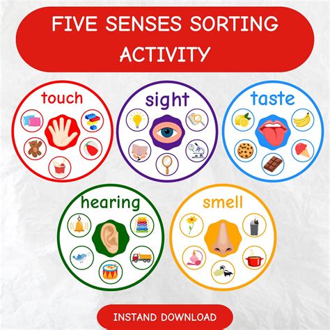 Five Senses Worksheets For Kindergarten Adriansonfifth