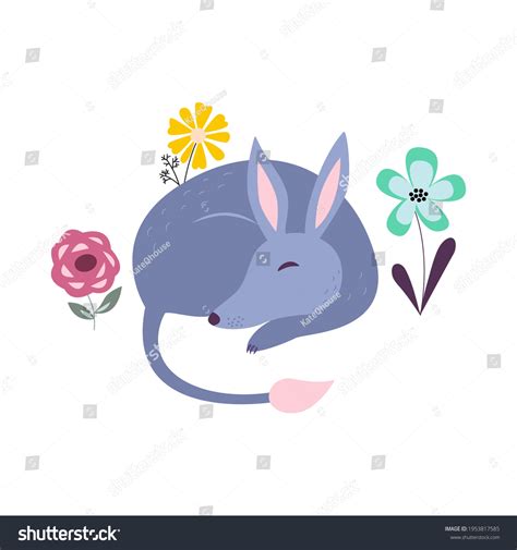 Sleeping Bilby Flowers Cartoon Vector Illustration Stock Vector Royalty Free 1953817585