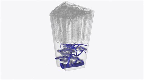 Premium Photo Medullary Capillary Plexus The Loop Of Henle And The Collecting Tubule