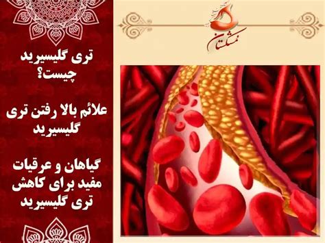 عرقیات گیاهی برای کاهش تری گلیسیرید عطاری آنلاین مشکستان