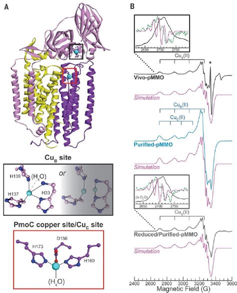 Figure 3 From Recent Insights Into Cu Based Catalytic Sites For The Direct Conversion Of Methane