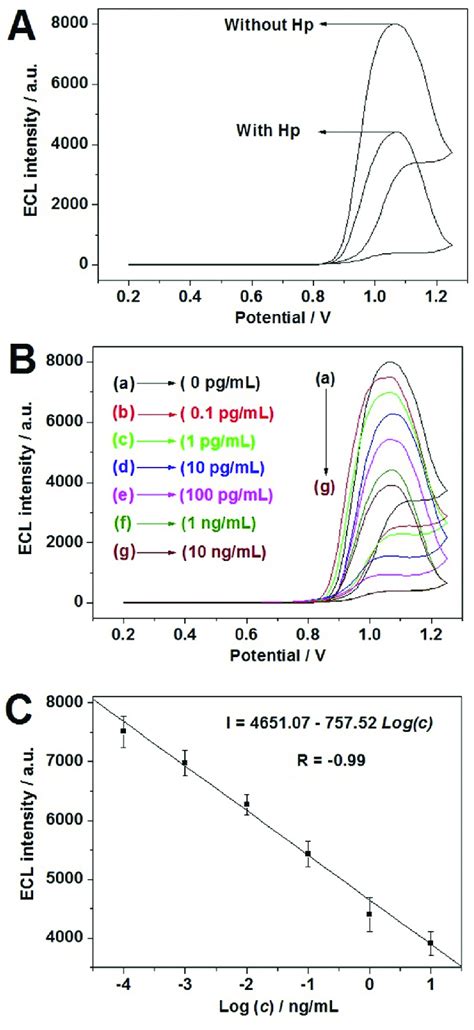 Analysis Of Analytical Performance Of The Hp Immunosensor In Detecting