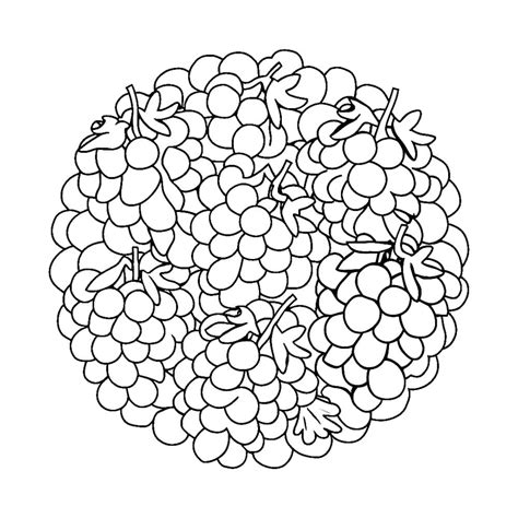 포도 색칠 공부 Kr에서 무료 색칠 공부