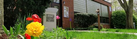 shelton library system information and services from your local libraries