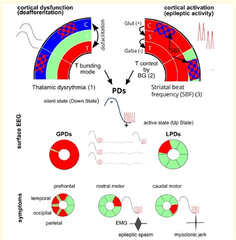 Schema Outlining The Hypothesis Of The Generation Of Periodic Download Scientific Diagram