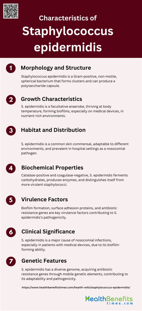 What Is Staphylococcus Epidermidis And Its Role In Skin Health Health Benefits