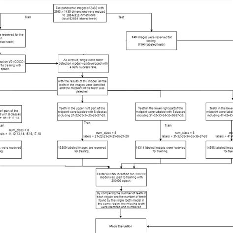 The Diagram Of Dental Object Detection Model Craniocatch Download Scientific Diagram