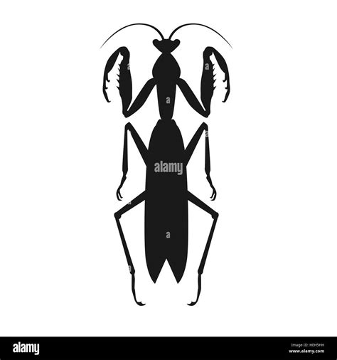 Black Grasshopper Icon Nature Black Cartoon Locust And Cute Flat