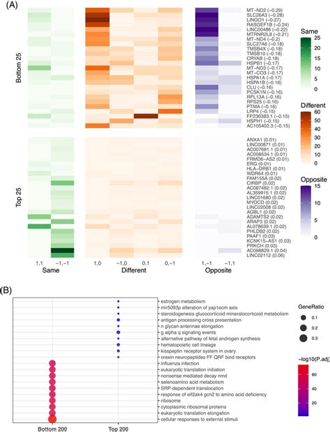 Single‐cell Transcriptomic Analysis Reveals Apoe Genotype‐dependent Sex