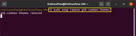 How To Remove A Snap Package On Ubuntu Its Linux FOSS