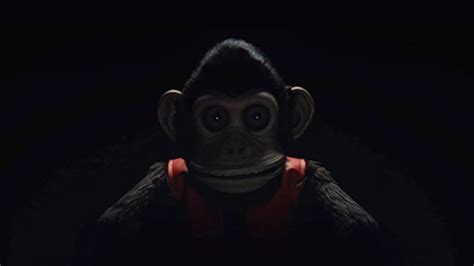 O Macaco Filme