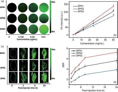 (a) PA images of of SPN1-SPN3 upon 810 nm laser excitation with ...