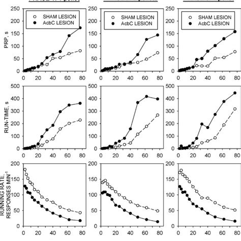 Performance In Successive Ratios Of The Progressive Ratio Schedule Download Scientific Diagram
