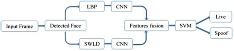 Scheme Of Proposed Face Anti‐spoofing Approach Download Scientific