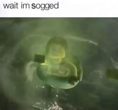 Morro Got Sogged Morro Ninjago Meme In 2025 Ninjago Memes Ninjago