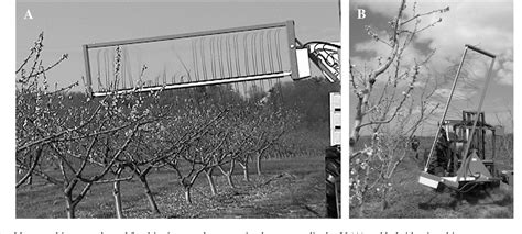 Figure 1 From Peach Blossom String Thinner Performance Improved With Selective Pruning