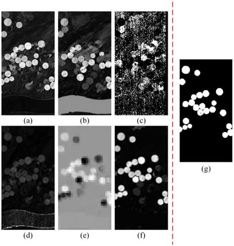 Remote Sensing Free Full Text Unsupervised Transformer Boundary Autoencoder Network For