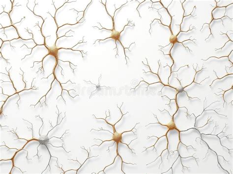 Unveiling The Artistic Beauty Of Neural Networks A Visual Exploration Of Neurons And The Nervous