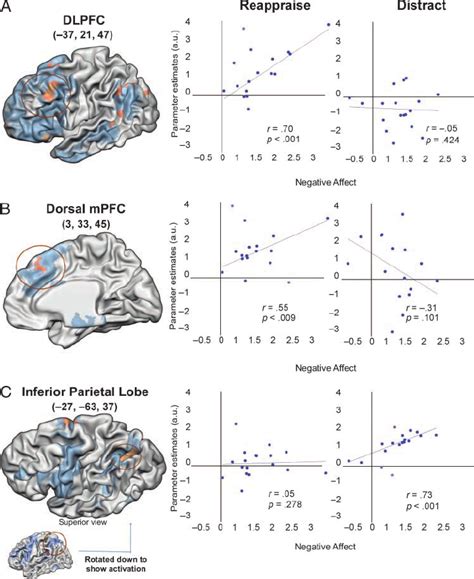 Whole Brain Correlations With Decreases Due To Negative Affect During