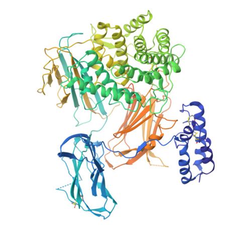 Rcsb Pdb 8ayh Structure Of Complement C5 In Complex With Small