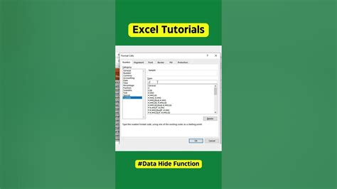 How To Hide Data In Excel Like A Pro Exceltips Excel Data Youtube