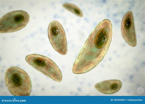 Gondii Cartoons Illustrations And Vector Stock Images 205 Pictures To